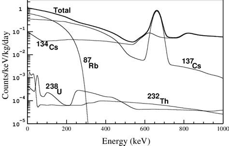 an expected spectrum due to the internal background obtained by geant4