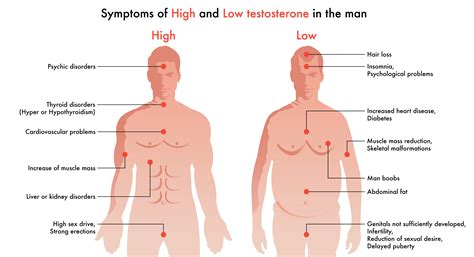 Healthy Testosterone Levels Play A Crucial Role In Mens Overall Health