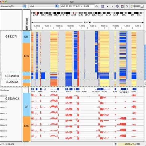 visualizing microarray and rna seq gene expression data with igv joint