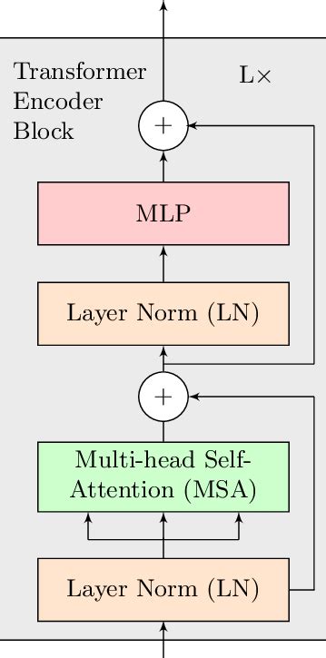 A Transformer Encoder Is A Stack Of L Identical Encoder Blocks