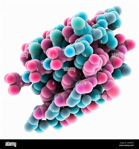 Human Prion Protein Molecule Computer Model Showing The Structure Of A Human Prion Protein
