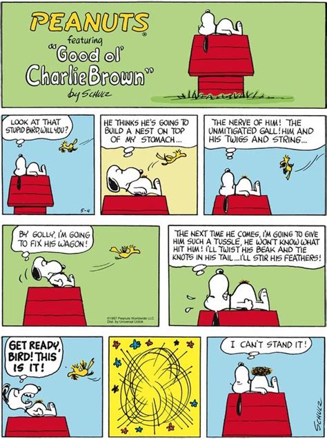 Peanuts Comic Arcamax At Brendan Gates Blog