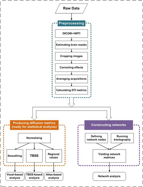 Main Procedure For Pipeline Processing Of Dmri Datasets In Panda The Download Scientific
