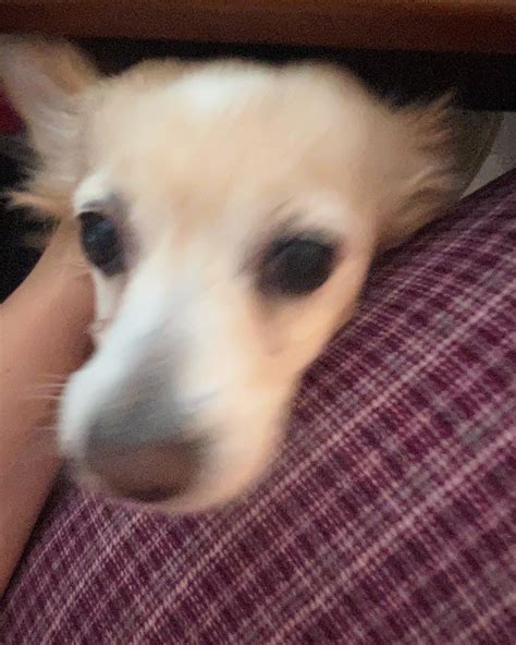 Eden Ixora Grateful 🪷 Instagram