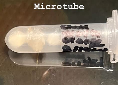 Starry Night Ape Research Microtube Sporeswaps