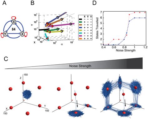 Bifurcation And Stochastic Analysis Of Network 84 A The Topology Of Download Scientific