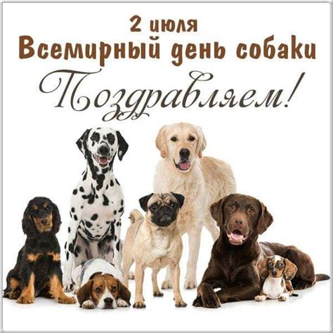 2 июля — ДЕНЬ СОБАКИ 🐶🐾 красивые открытки — Поздравления С ДНЕМ СОБАК трогательные стихи про