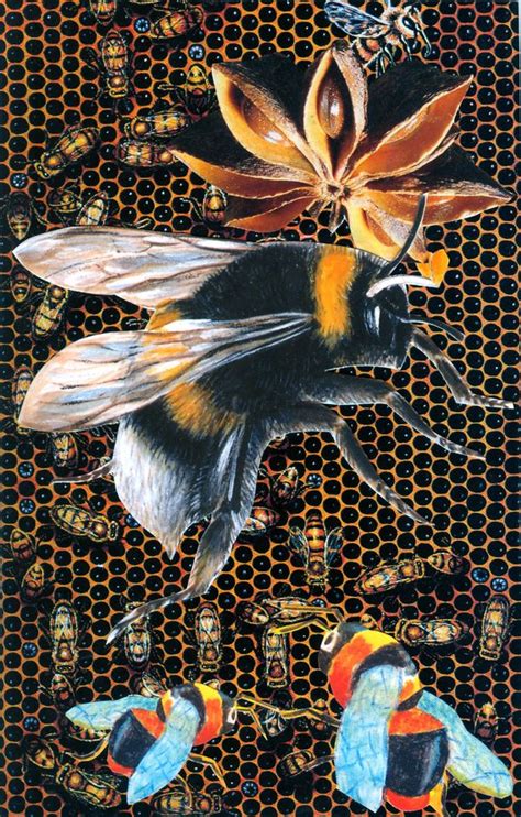 Redondowriters Sacred Ordinary Soulcollage® Card The Extinction Of Honeybees