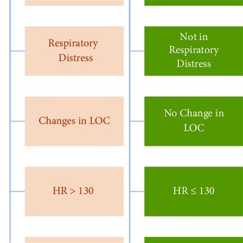 Covid 19 Ems Transport Algorithm Download Scientific Diagram