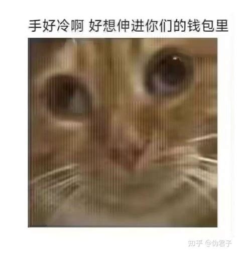 为什么卷积神经网络的pooling翻译池化？ 知乎