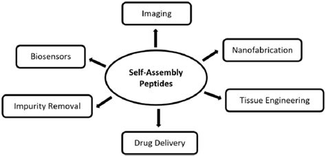 Applications Of Self Assembled Peptides Download Scientific Diagram