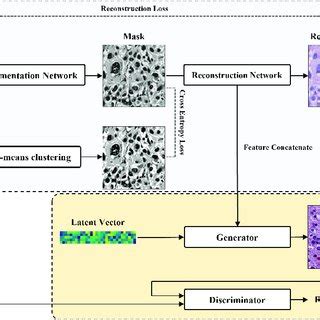 The Segmentation Module Structure A The Structure Of The Download Scientific Diagram