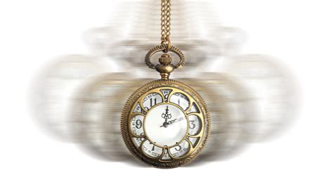 Hallaron una foca hipnótica frente a una tienda de kebabs