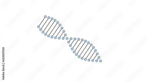 Dna Strand Rotating Line 2d Object Animation Molecule Dna Flat Color