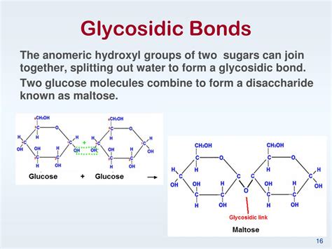 Ppt Carbohydrates Powerpoint Presentation Free Download Id5871301