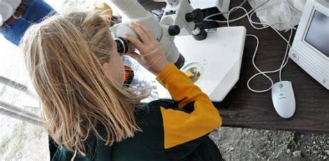 Hard Science Quiz ProProfs Quiz