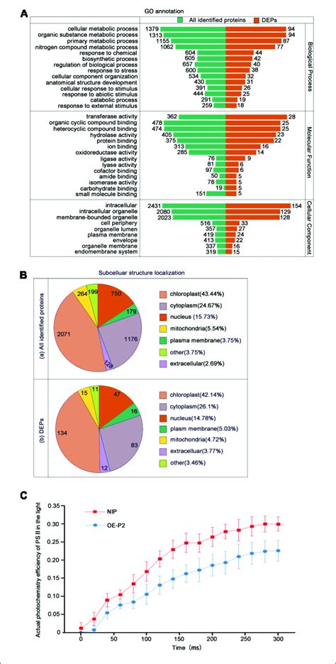 Classification Of All Identified Proteins And Deps And Measurements