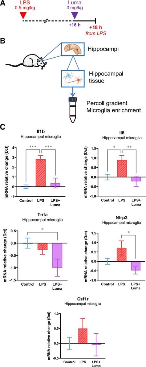 Lumateperone Normalizes Pathological Levels Of Acute Inflammation Through Important Pathways