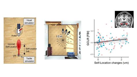 Grid Cell Activity In Entorhinal Cortex Reflects Self Consciousness Epfl