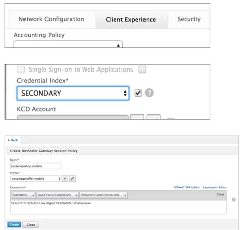 Configure Netscaler Gateway To Use Radius And Ldap Authentication With