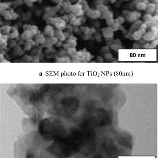 A SEM Photo For TiO NPs Nm B TEM Photo For TiO NPs Nm Download Scientific Diagram