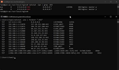 Udp Port Proxy For Wsl2 In Order To Support 3 Which Uses Udpquic
