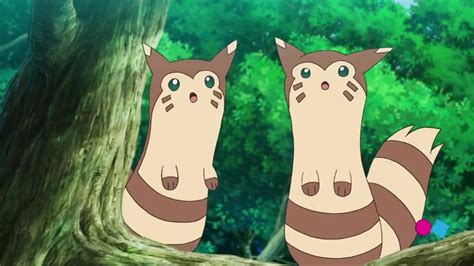 Furret Animated Character Database Fandom