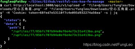 Linux使用 Curl 命令linux Curl Xpost传参数 Csdn博客
