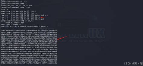 vulnhub靶机：basic pentesting 2（渗透测试详解） vulnhub basic2 csdn博客