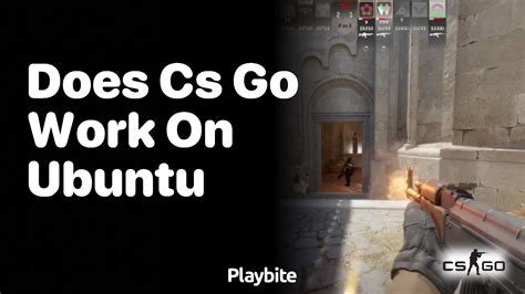 Does CS GO Work On Ubuntu Playbite