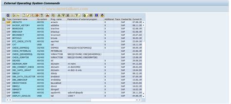 SM69 SAP Tcode Maintain External OS Commands
