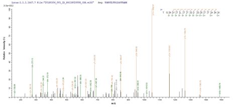 Clfa Staphylococcus Aureus Recombinant Protein Li Expressed 6xhis Sumo Tag