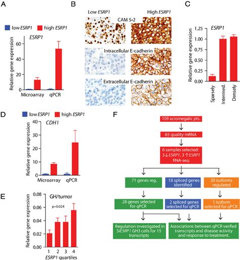 Characterization Of Samples For The RNAseq Analysis A Six Adenomas Download Scientific
