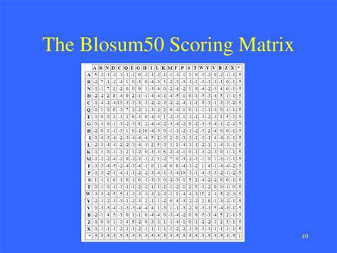 ppt dynamic programming method for analyzing biomolecular sequences