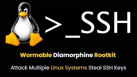 Wormable Linux Rootkit Attack Multiple Systems To Steal Ssh Keys And