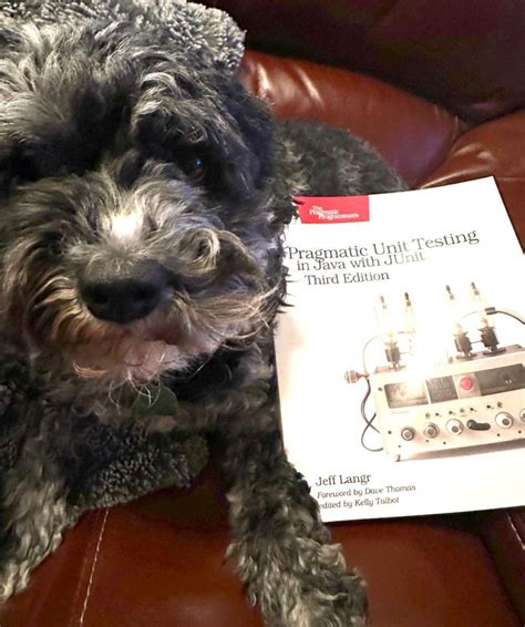 jeff langr thanks for sharing the pic of luna with your book the