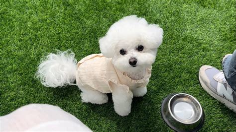 슈가의 첫 소풍🧺 보러오세요🤍건대 커먼그라운드 서울숲 Youtube