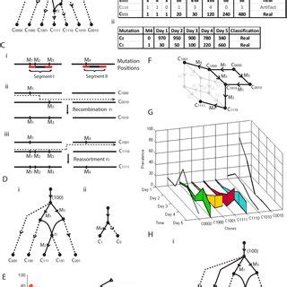 A Flow Chart Describing The Tree And Network Construction Process Download Scientific Diagram