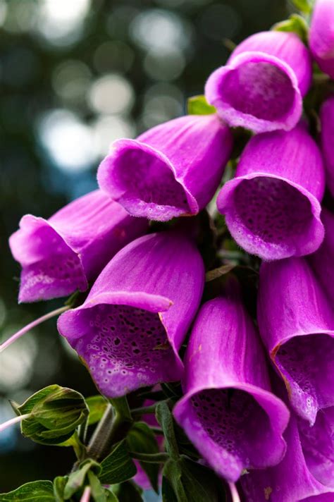 Techy Background Photos Download The Best Free Techy Background Stock