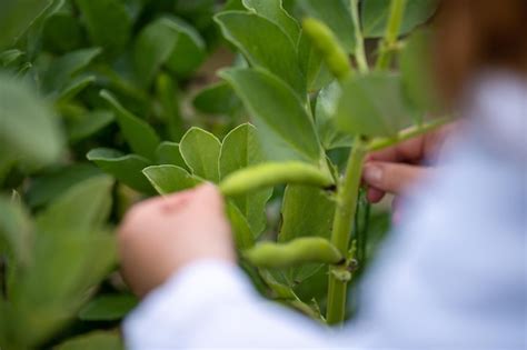 Premium Photo Female Scientist Student In A University Studying Plant