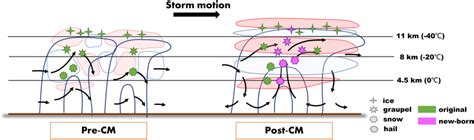 Conceptual Diagram Of Thunderstorm Dynamics Microphysics And Charge Download Scientific