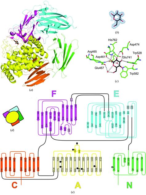 IUCr Crystal structure of native α L rhamnosidase from Aspergillus terreus