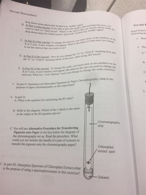 Solved Name Pre Lab Homework For Biol 150 Photosynthesis