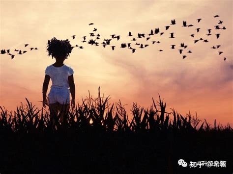 Springboot项目使用easypoi实现导入导出，就是这么的丝滑 知乎