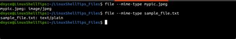 How To Determine MIME Type Of A File In Linux