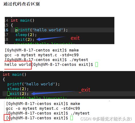 Linux 进程控制echo Csdn博客