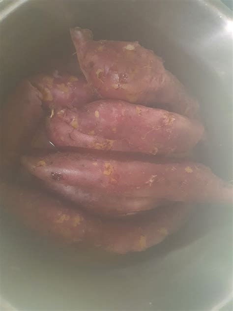 김이 모락모락 고구마 음식 여행 에펨코리아