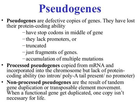 Genome Organisation In Eukaryotes Genome Organisation In Eukaryotes