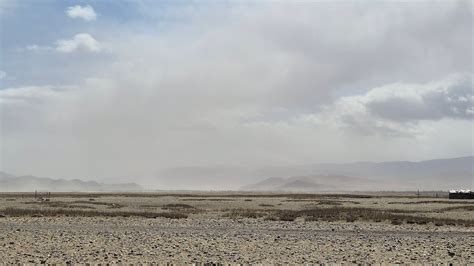 Davaadulam Монголын байгаль яг л эрчимт эмчилгээний тасгийн өвчтөн шиг байна Монголчууд