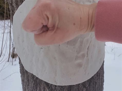 EASY Ways To Make DIY Tree Bark JANESAWYERMAKES COM